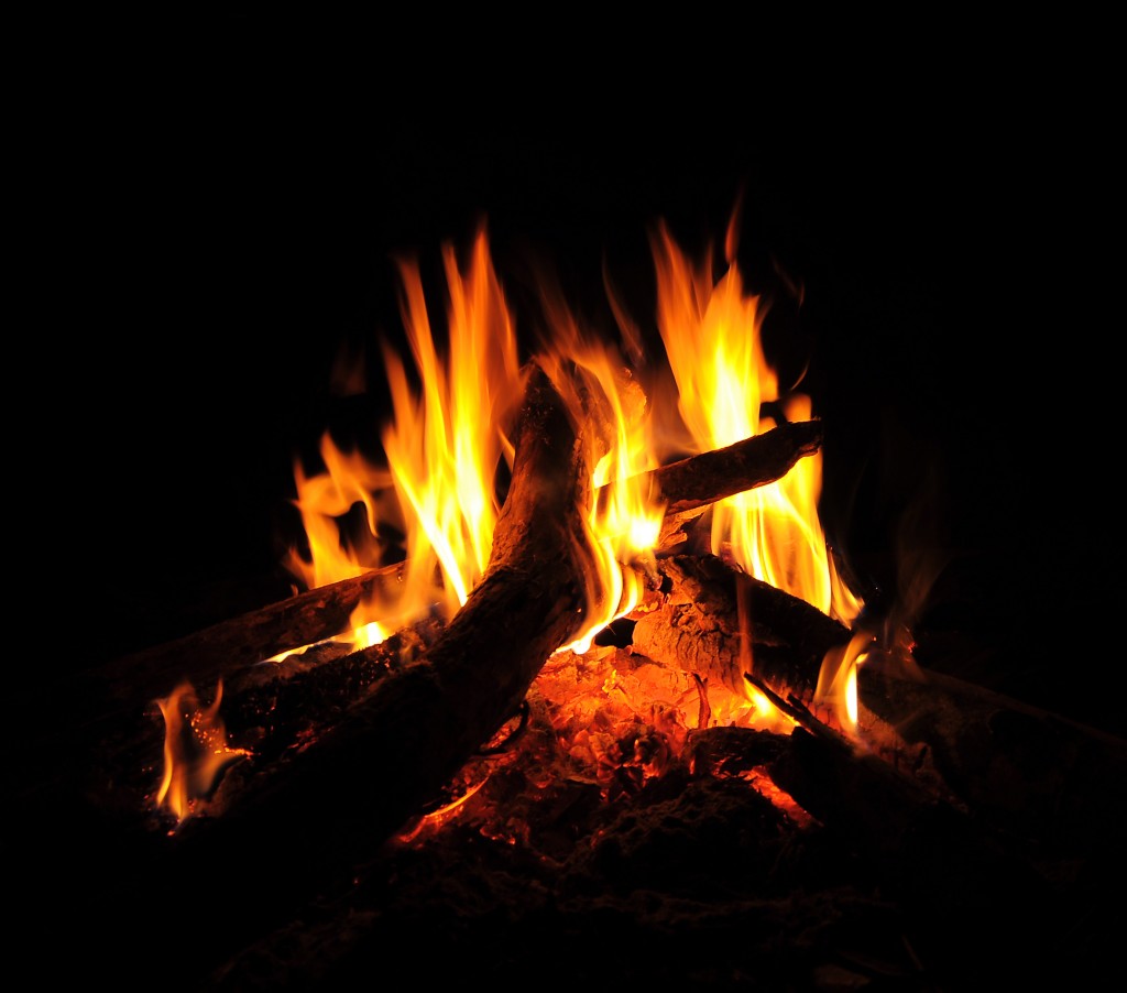 Fire Wood… | John Barrett Blog